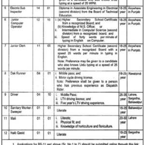 PPS-11 to PPS-12 Vacancies in Energy Department Govt of Punjab • Govt ...